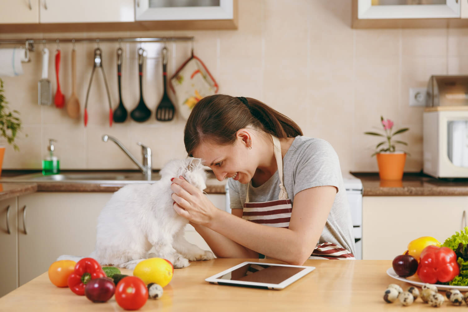 How to Make Homemade Cat Food at Home? - BloggingWithConnie